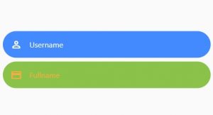 Flutter Rounded Input TextField | TL Dev Tech