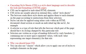 What are the differences between :first-child and :first-of-type in CSS | TL Dev Tech