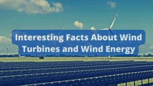 14 Interesting Facts About Wind Turbines and Wind Energy | TL Dev Tech