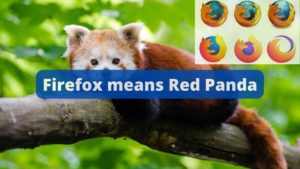 Firefox's Logo is Not Actually a Fox | TL Dev Tech