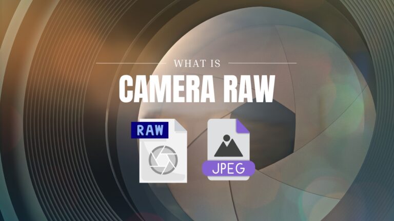 What is Camera RAW? | TLDev's Tech