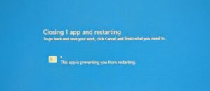 What is the "t" App that Prevents Windows from Restarting? | TL Dev Tech