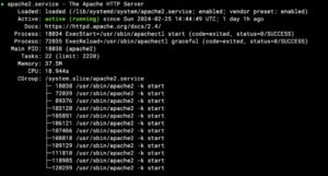 Check Apache Server Status and Uptime in Linux | TL Dev Tech