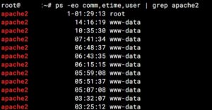 Check Apache Server Status and Uptime in Linux | TL Dev Tech