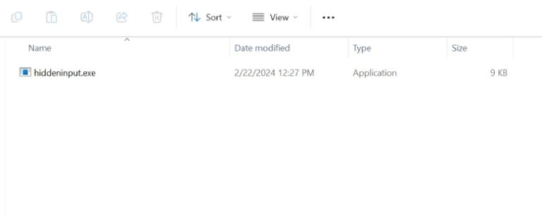 What is hiddeninput.exe? | TL Dev Tech